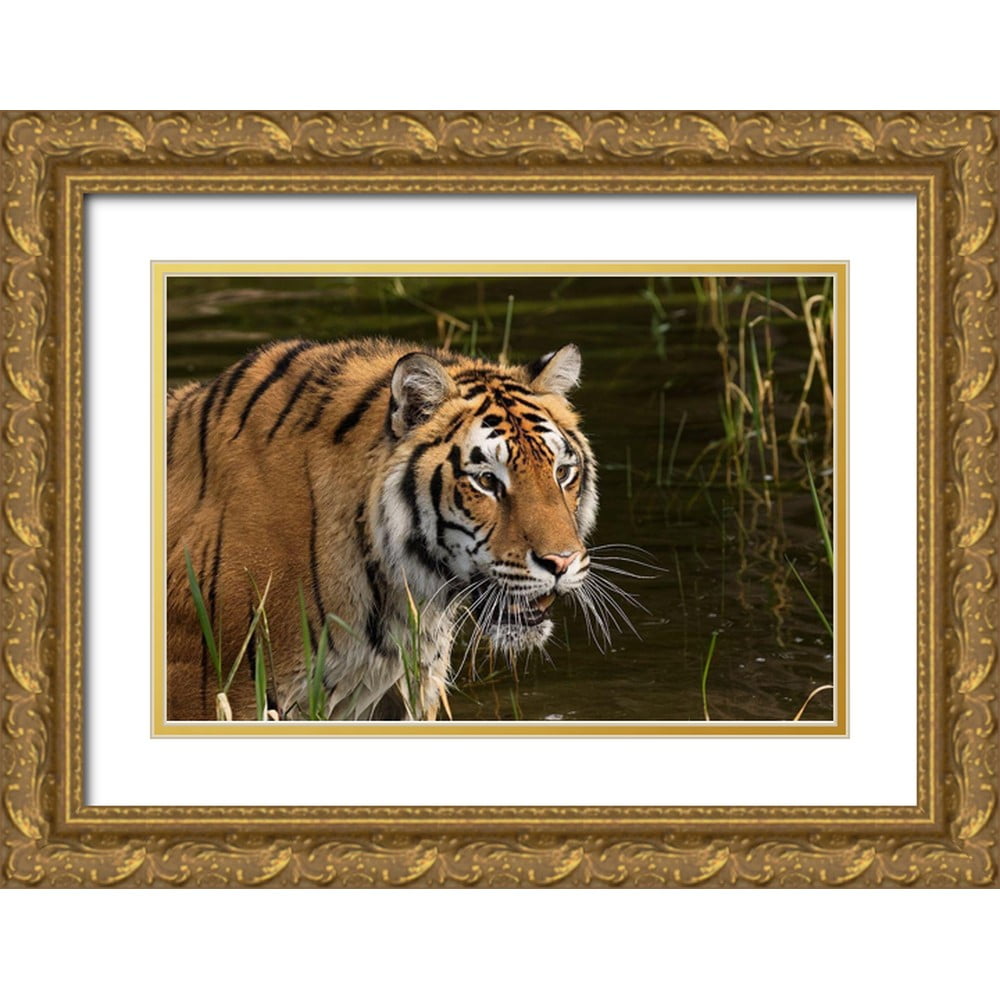 Jones, Adam 32x23 Gold Ornate Wood Framed with Double Matting Museum ...