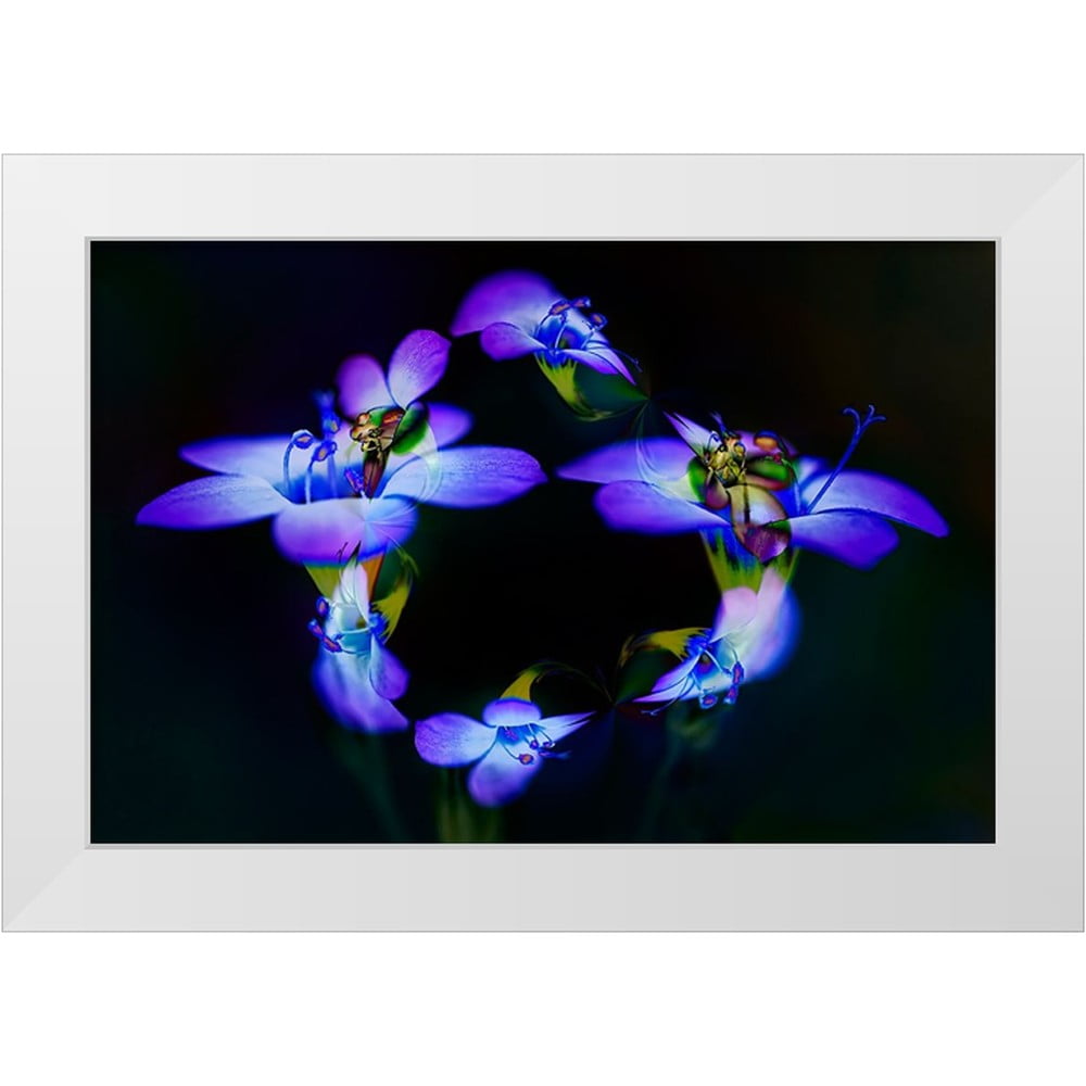 Jones, Adam 32x23 White Modern Wood Framed Museum Art Print Titled ...