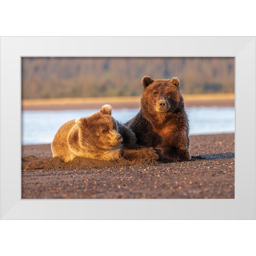 Jones, Adam 32x23 White Modern Wood Framed Museum Art Print Titled ...