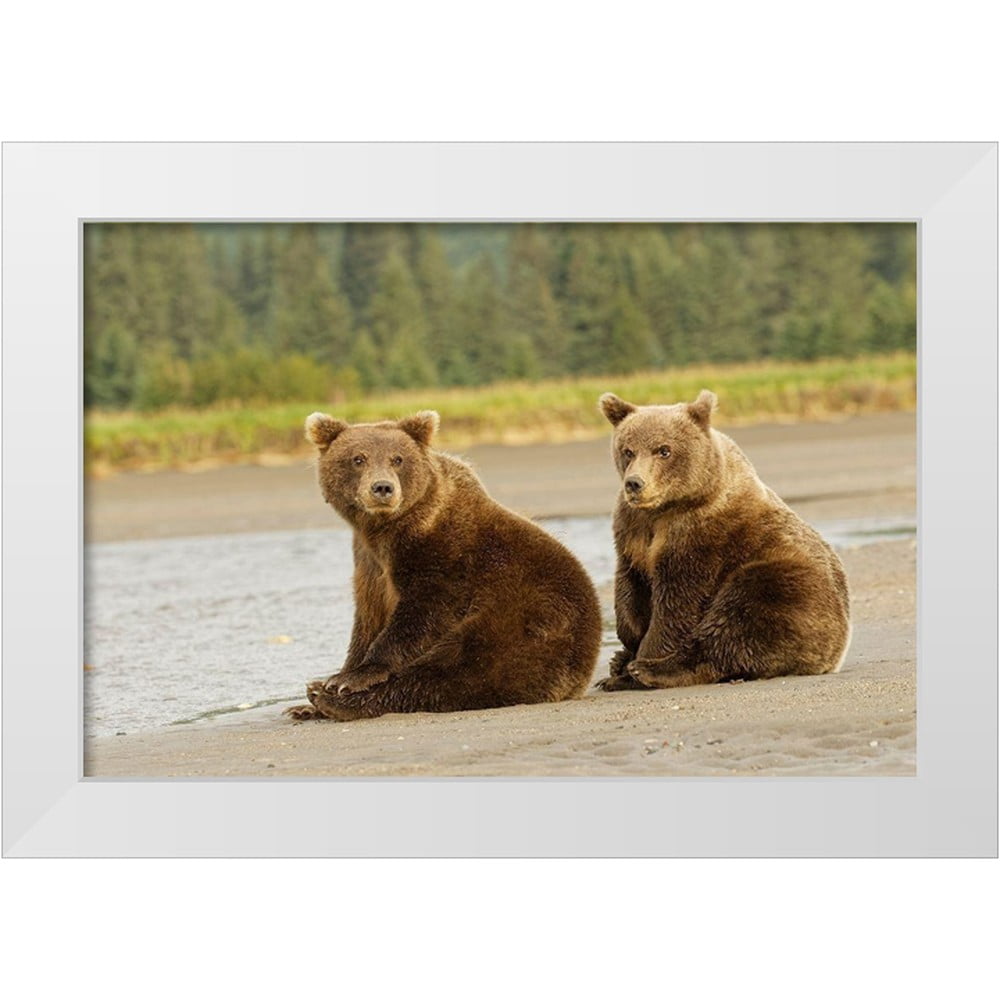 Jones, Adam 32x23 White Modern Wood Framed Museum Art Print Titled ...