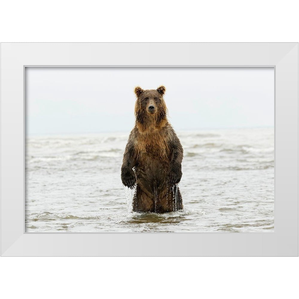 Jones, Adam 32x23 White Modern Wood Framed Museum Art Print Titled ...