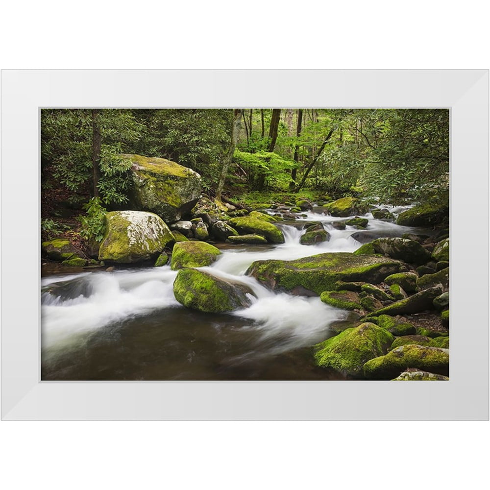 Jones, Adam 32x23 White Modern Wood Framed Museum Art Print Titled - Cascading mountain stream ...