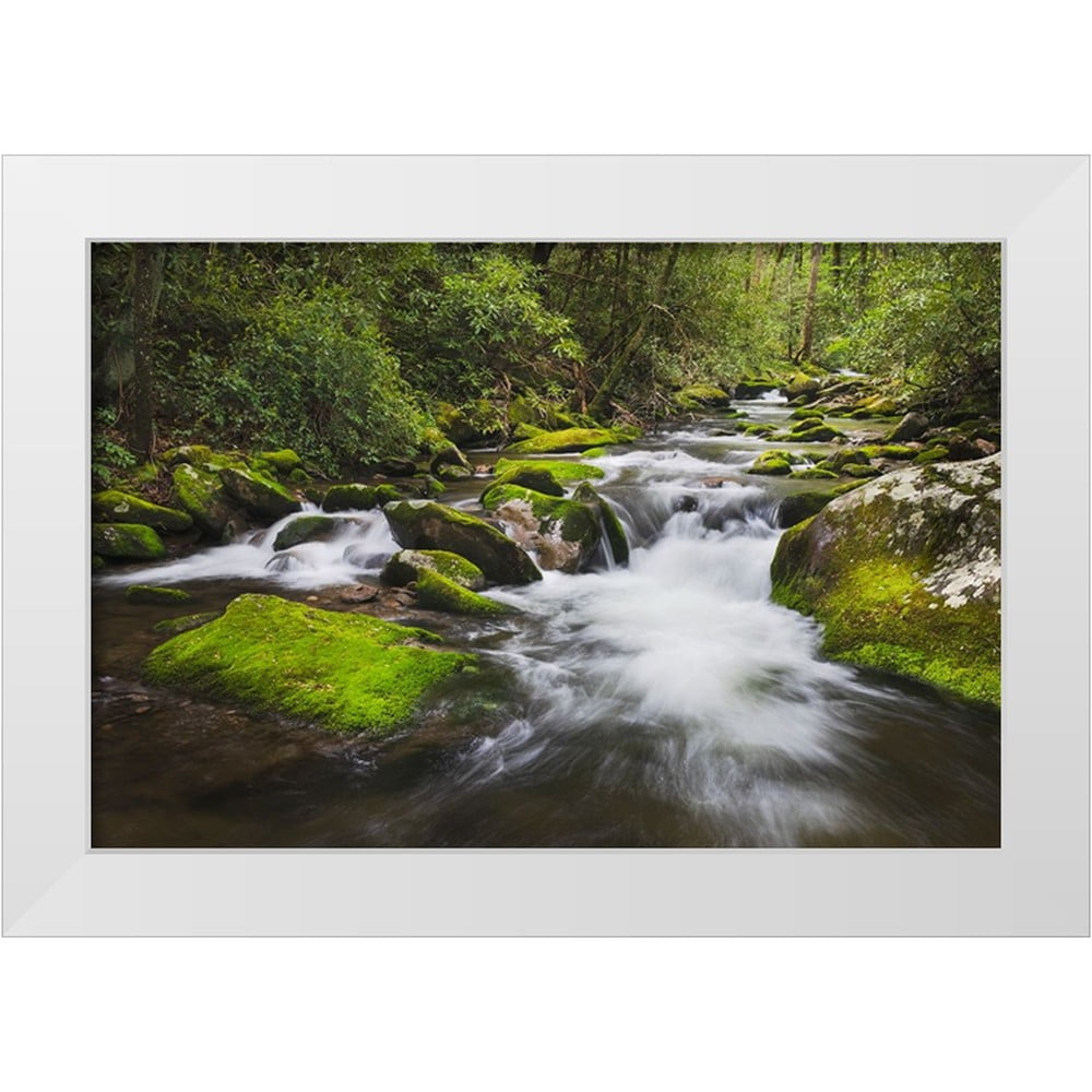 Jones, Adam 32x23 White Modern Wood Framed Museum Art Print Titled - Cascading mountain stream ...