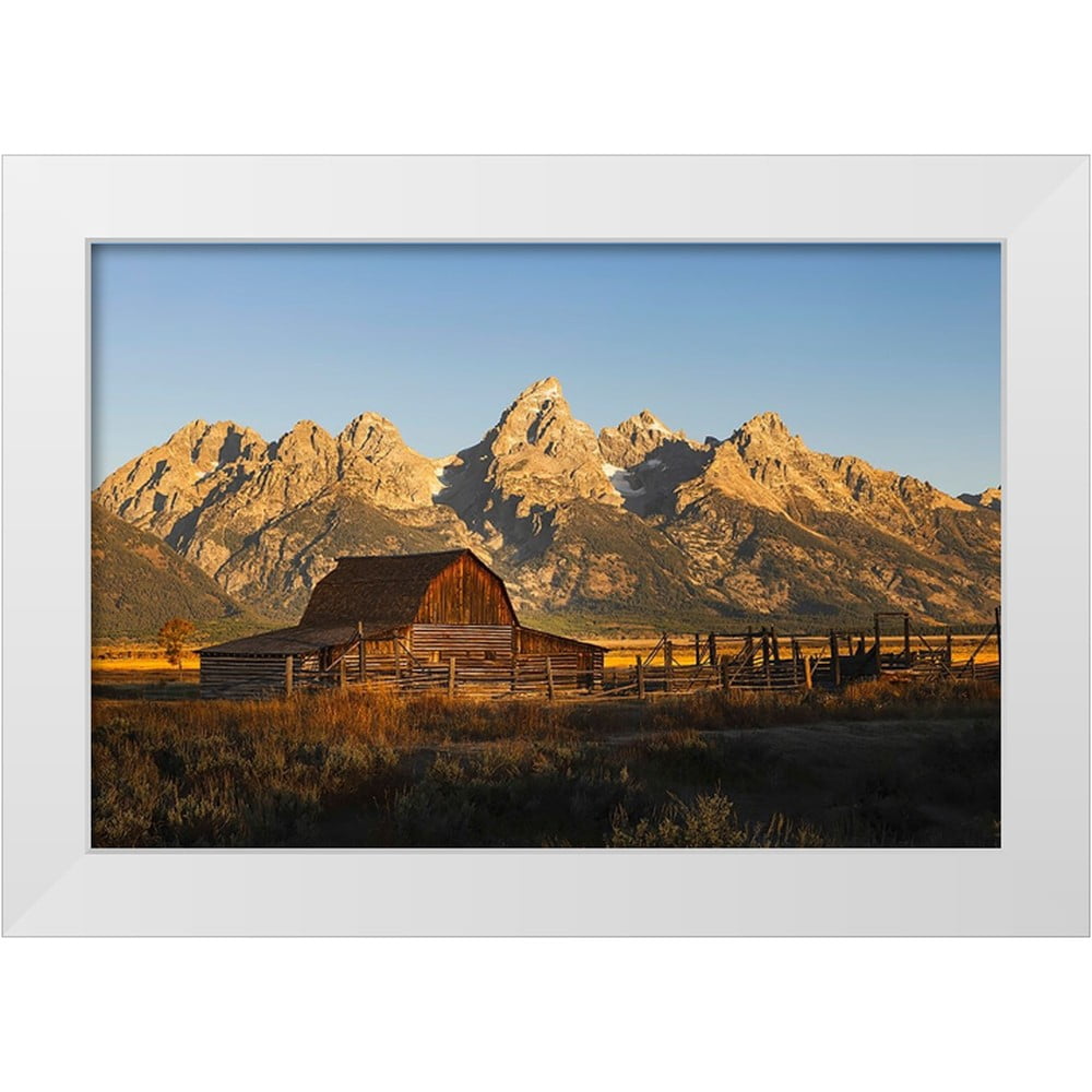 Jones, Adam 32x23 White Modern Wood Framed Museum Art Print Titled ...