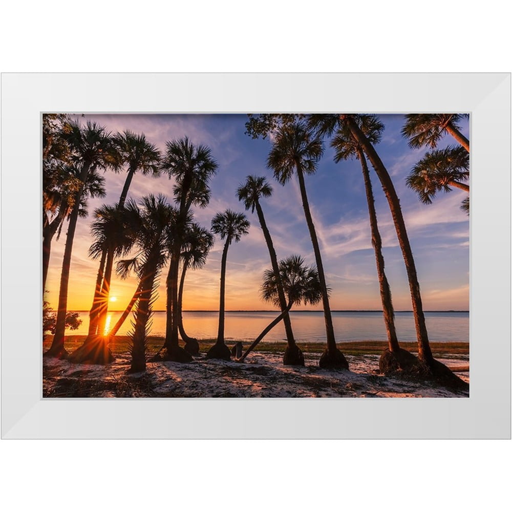 Jones, Adam 32x23 White Modern Wood Framed Museum Art Print Titled ...