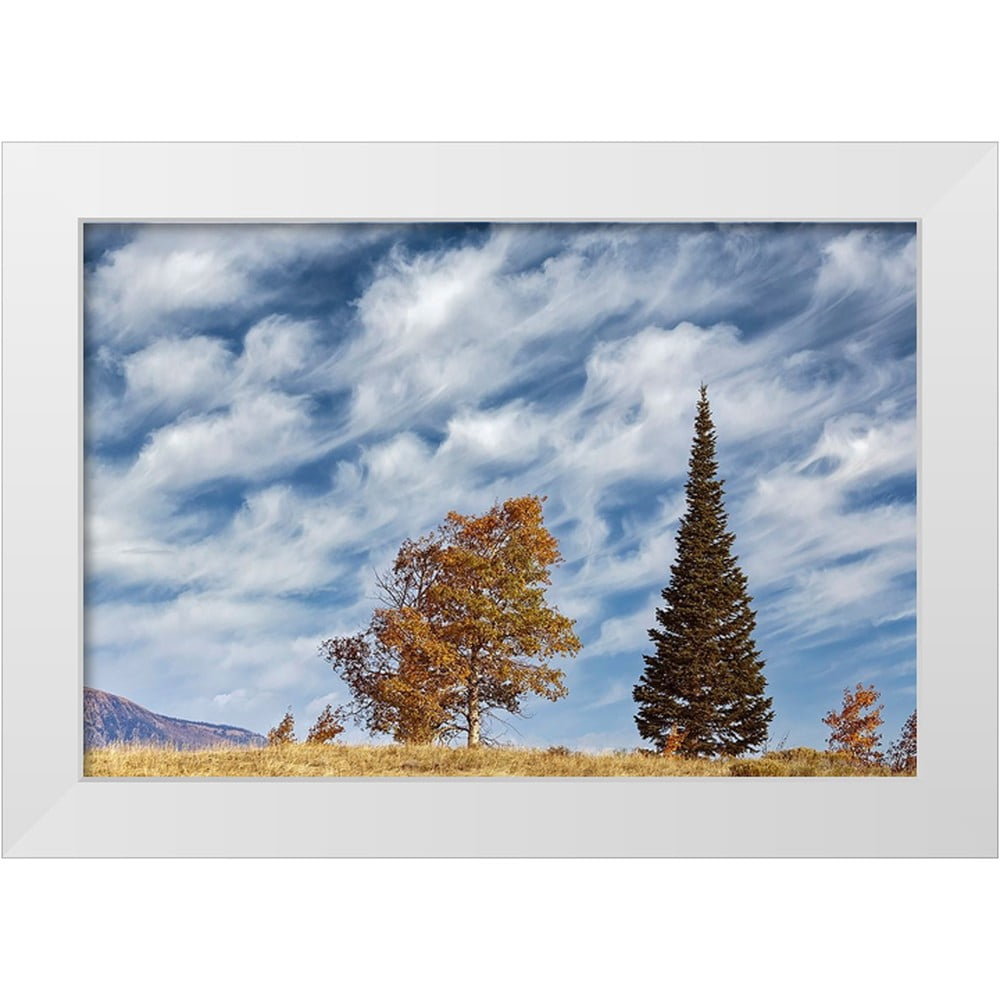 Jones, Adam 32x23 White Modern Wood Framed Museum Art Print Titled ...