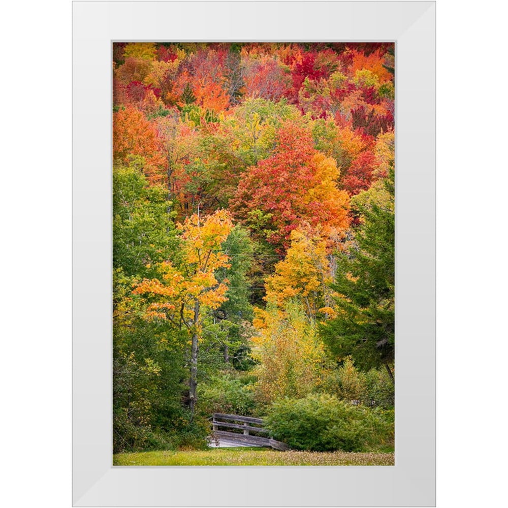 Jones, Allison 11x14 White Modern Wood Framed Museum Art Print Titled ...