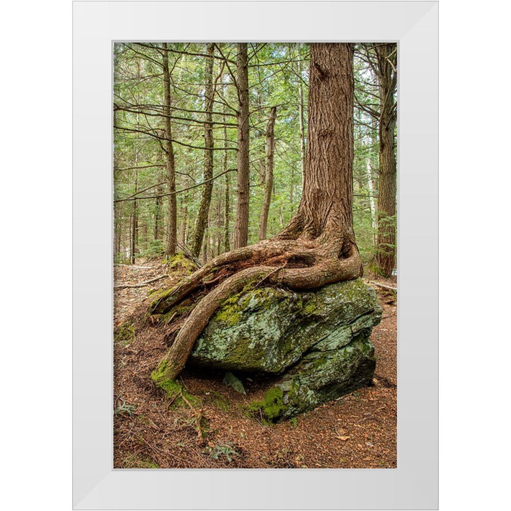 Jones, Allison 11x14 White Modern Wood Framed Museum Art Print Titled ...