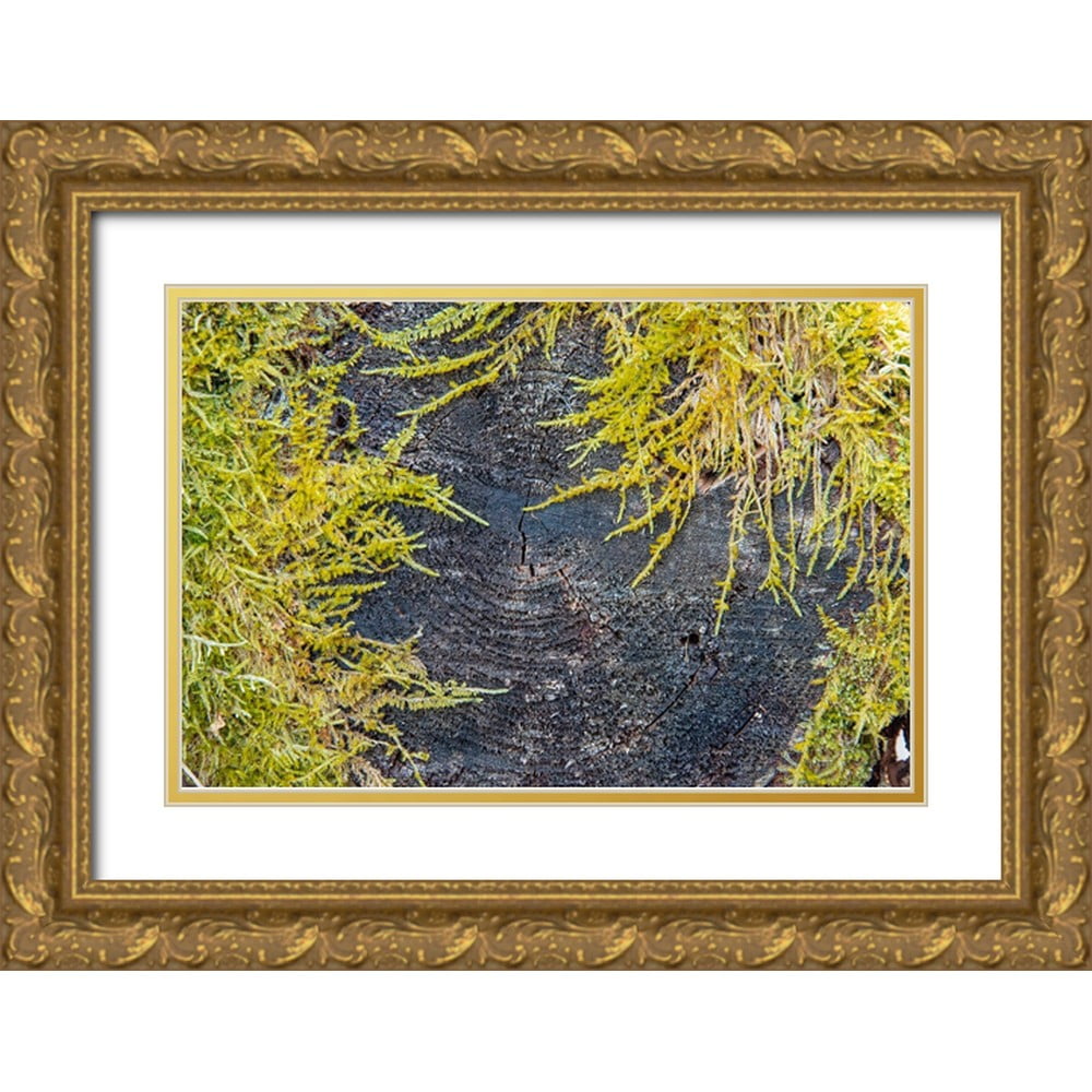 Jones, Allison 14x11 Gold Ornate Wood Framed with Double Matting Museum ...