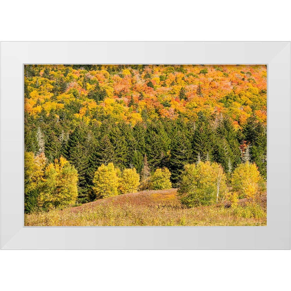 Jones, Allison 14x11 White Modern Wood Framed Museum Art Print Titled ...