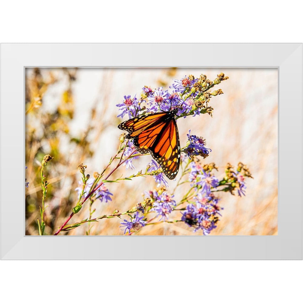 Jones, Allison 32x23 White Modern Wood Framed Museum Art Print Titled ...