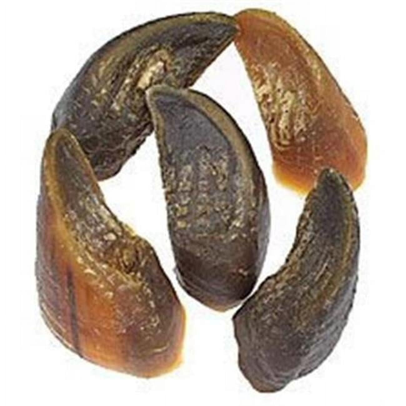 Jones Naturals Chews Beef Hooves Each Bulk - Walmart.com