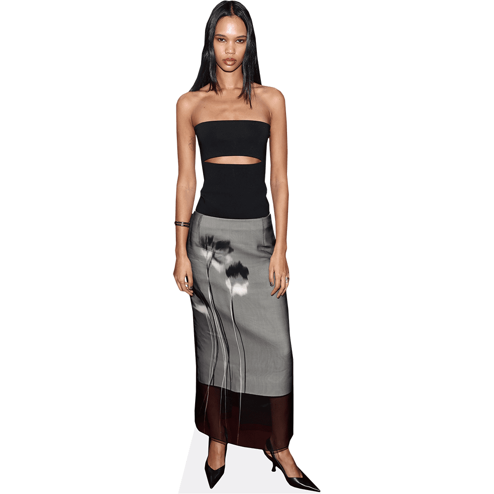 Jordan Daniels (Crop Top) Life Size Cutout. Standee. - Walmart.com