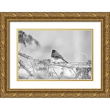 Jordan, Elizabeth 14x11 Gold Ornate Wood Framed with Double Matting ...