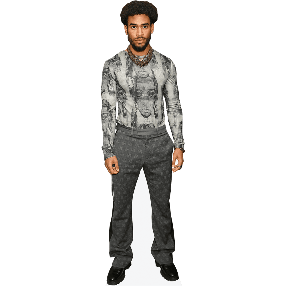 Jordan Hames (Grey) Lifesize Cardboard Cutout Standee - Walmart.com