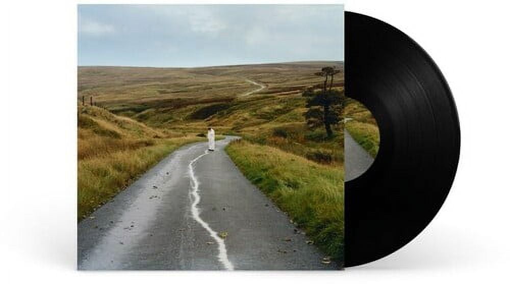 Jordan Rakei - The Loop - Music & Performance - Vinyl - Walmart.com