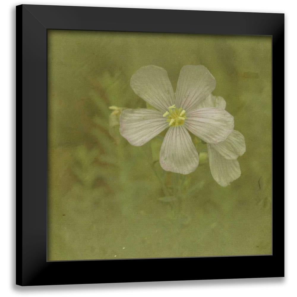 Jorgensen, Jennifer 15x15 Black Modern Framed Museum Art Print Titled ...