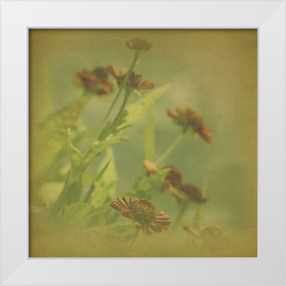 Jorgensen, Jennifer 15x15 White Modern Wood Framed Museum Art Print ...
