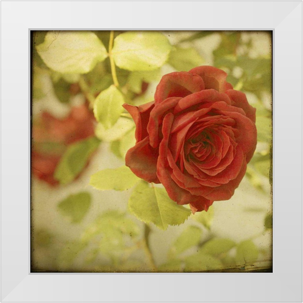 Jorgensen, Jennifer 15x15 White Modern Wood Framed Museum Art Print ...
