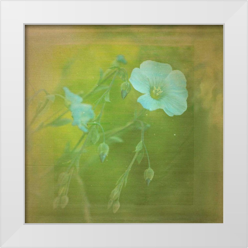 Jorgensen, Jennifer 15x15 White Modern Wood Framed Museum Art Print ...