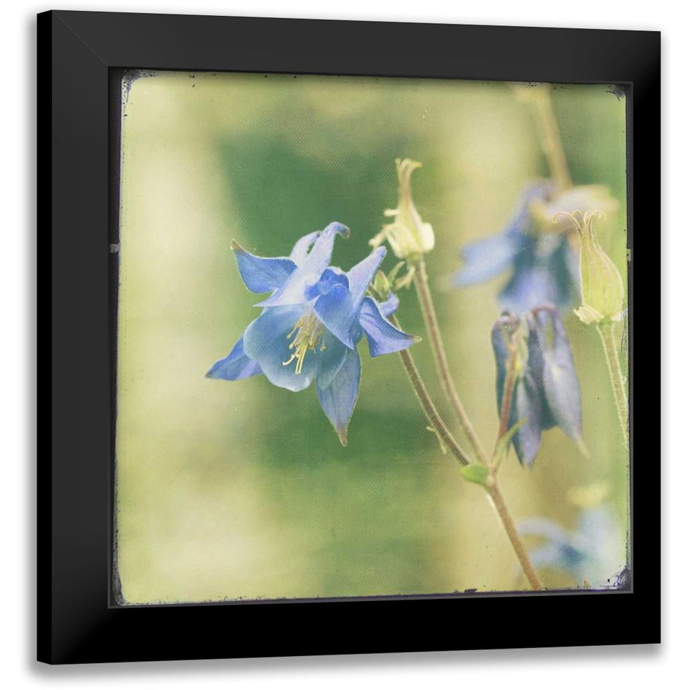 Jorgensen, Jennifer 20x20 Black Modern Framed Museum Art Print Titled ...