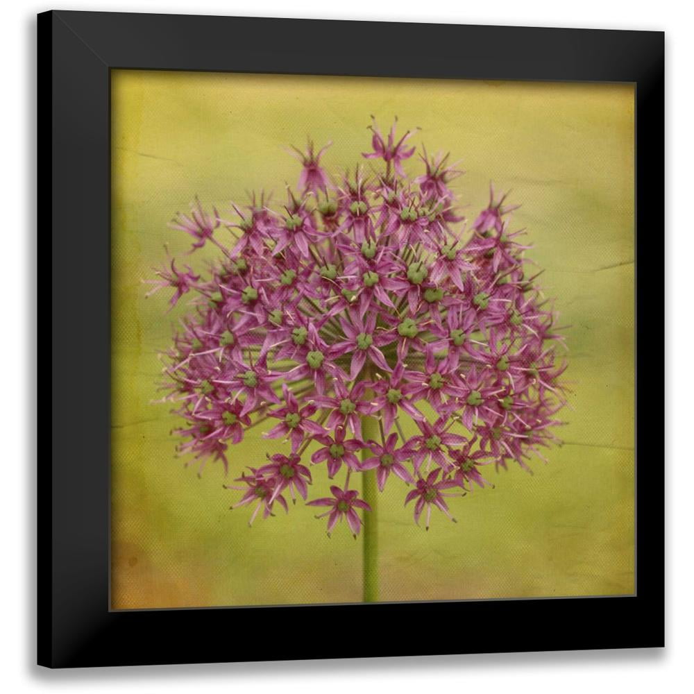 Jorgensen, Jennifer 20x20 Black Modern Framed Museum Art Print Titled ...