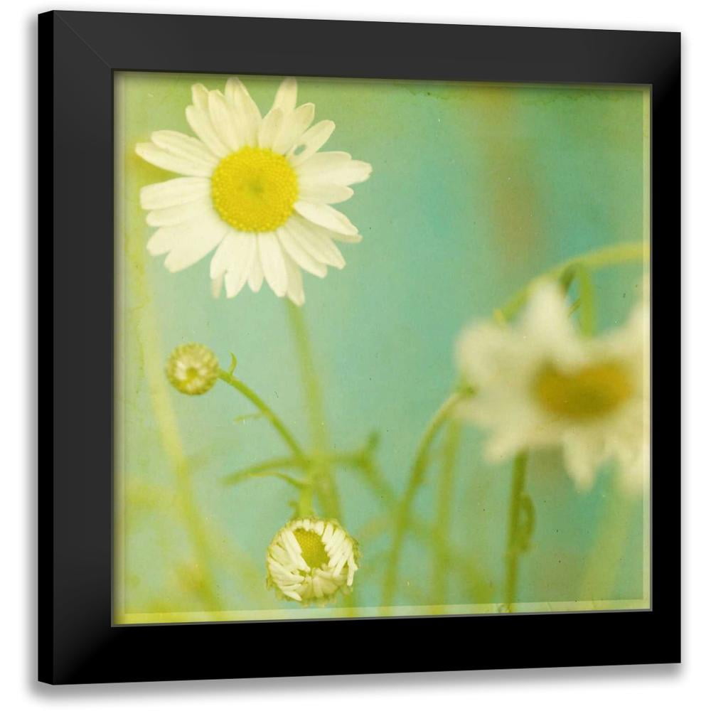 Jorgensen, Jennifer 20x20 Black Modern Framed Museum Art Print Titled ...