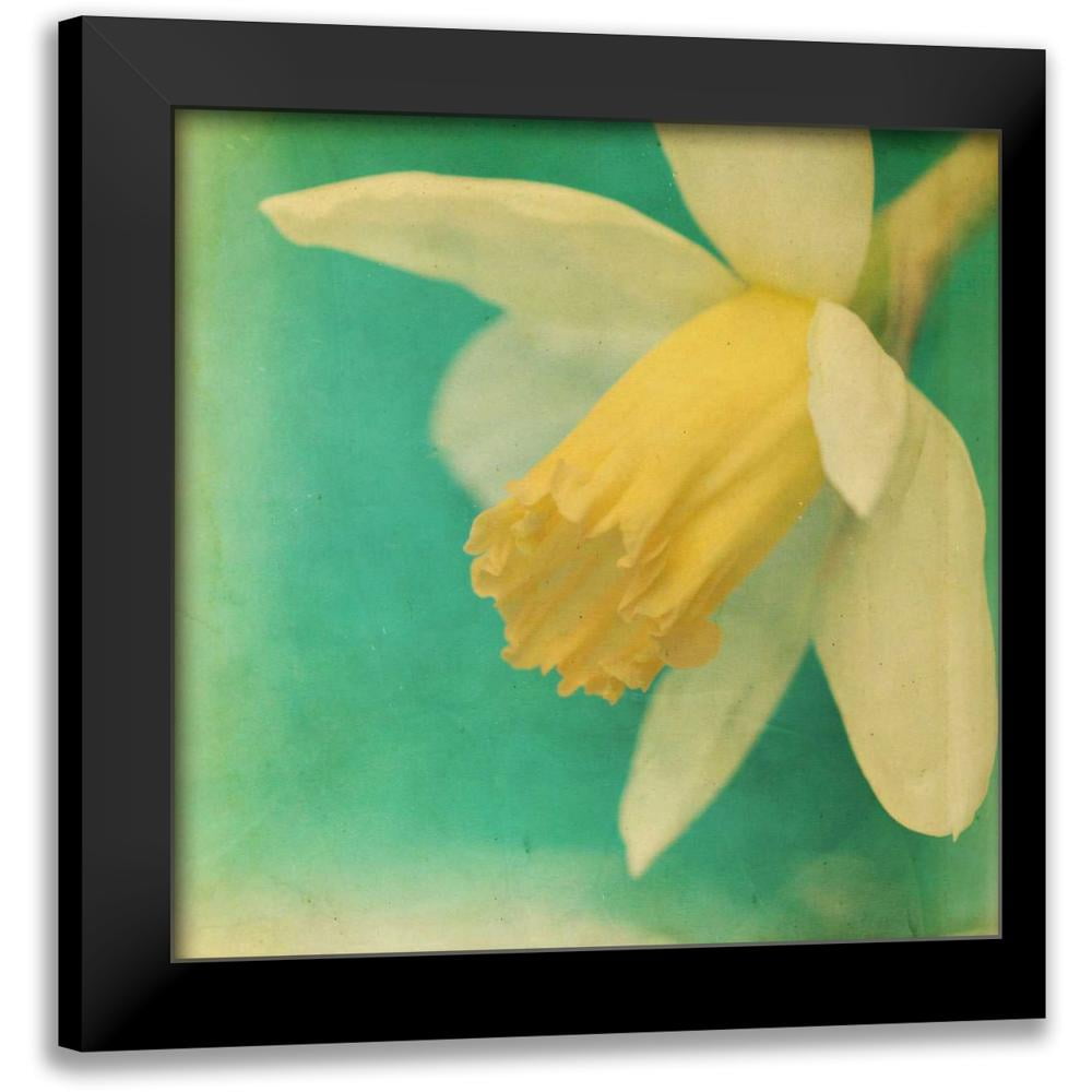 Jorgensen, Jennifer 20x20 Black Modern Framed Museum Art Print Titled ...