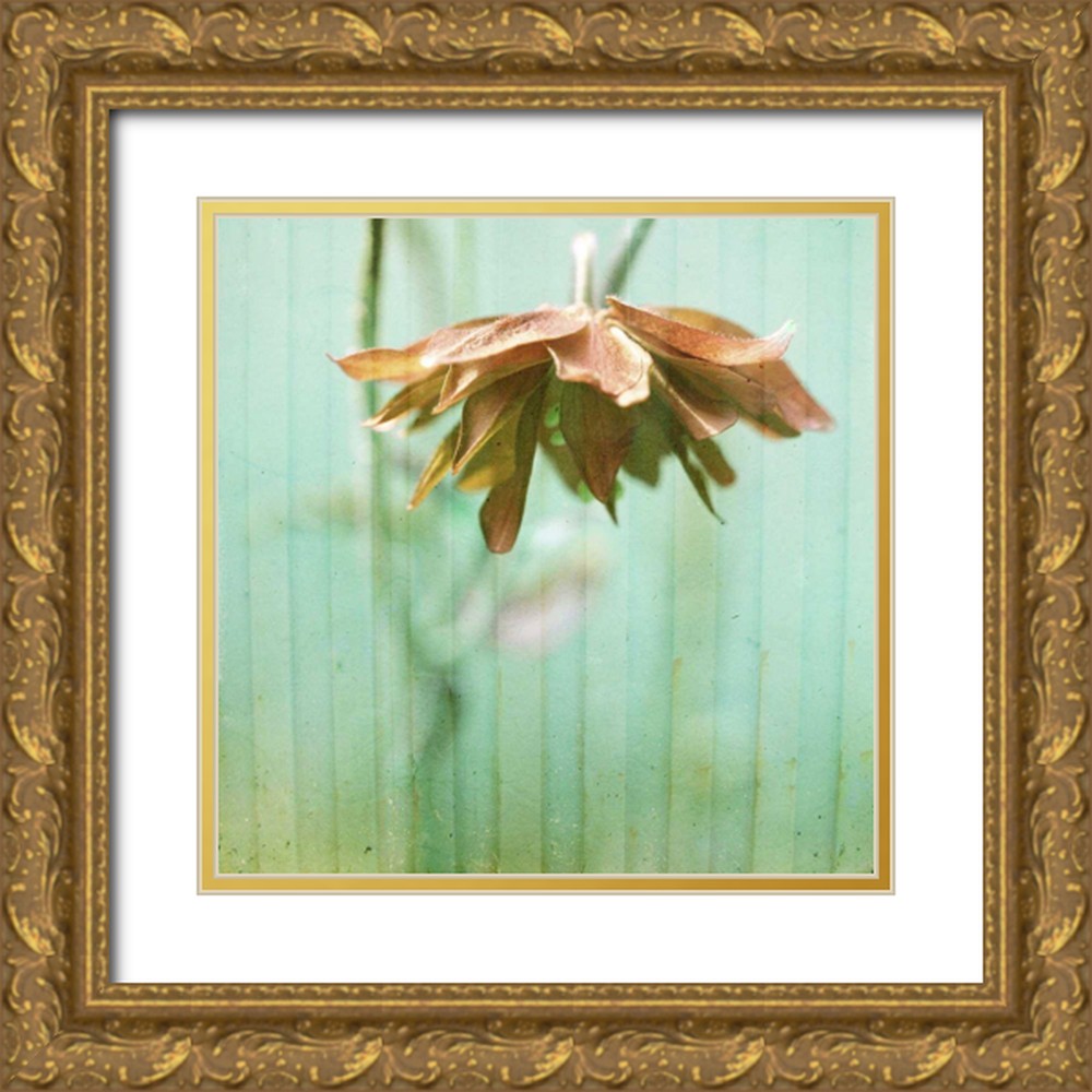 Jorgensen, Jennifer 20x20 Gold Ornate Wood Framed with Double Matting ...