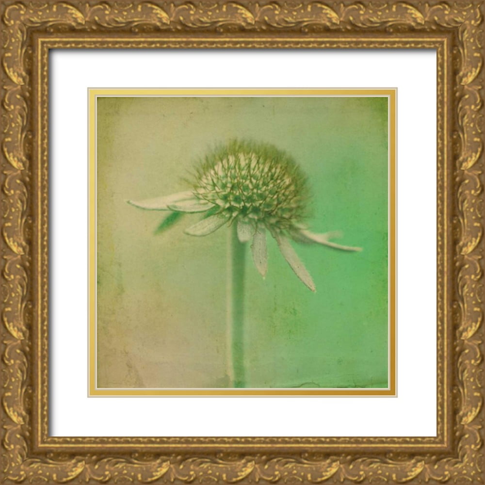 Jorgensen, Jennifer 20x20 Gold Ornate Wood Framed with Double Matting ...
