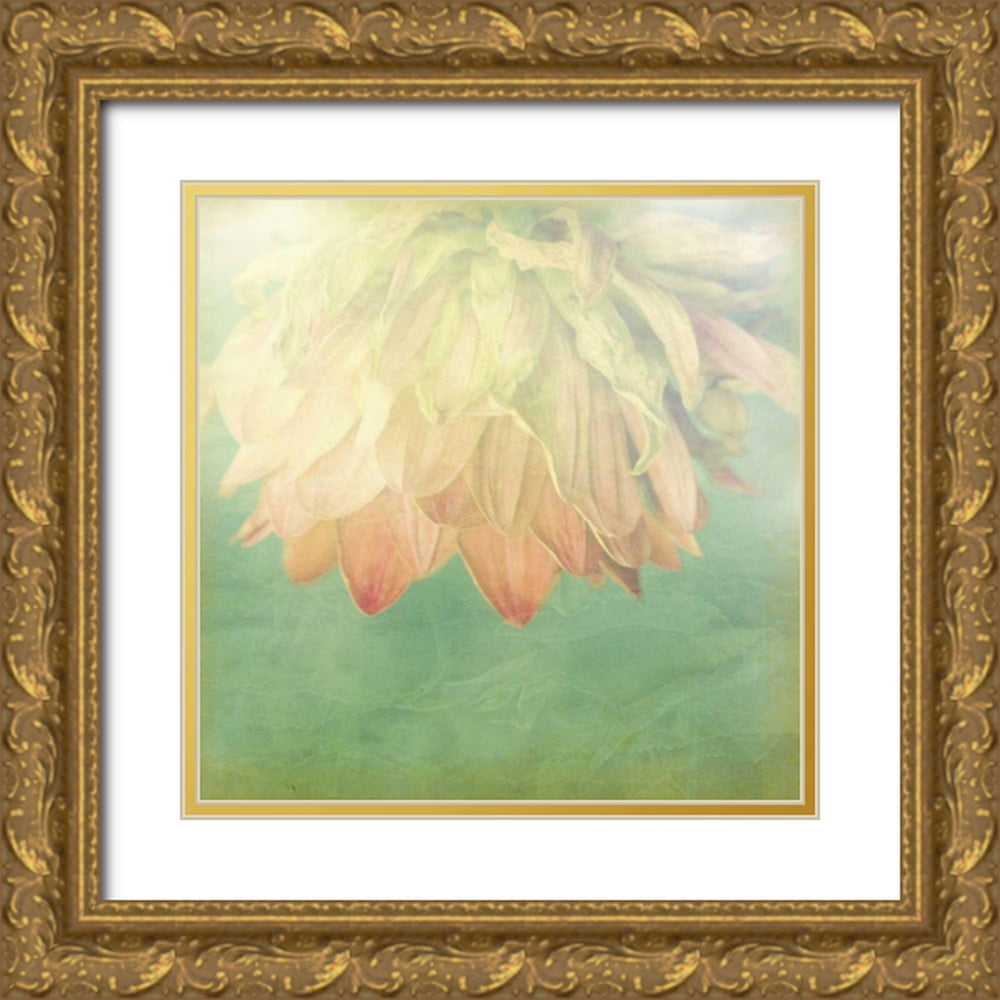 Jorgensen, Jennifer 20x20 Gold Ornate Wood Framed with Double Matting ...