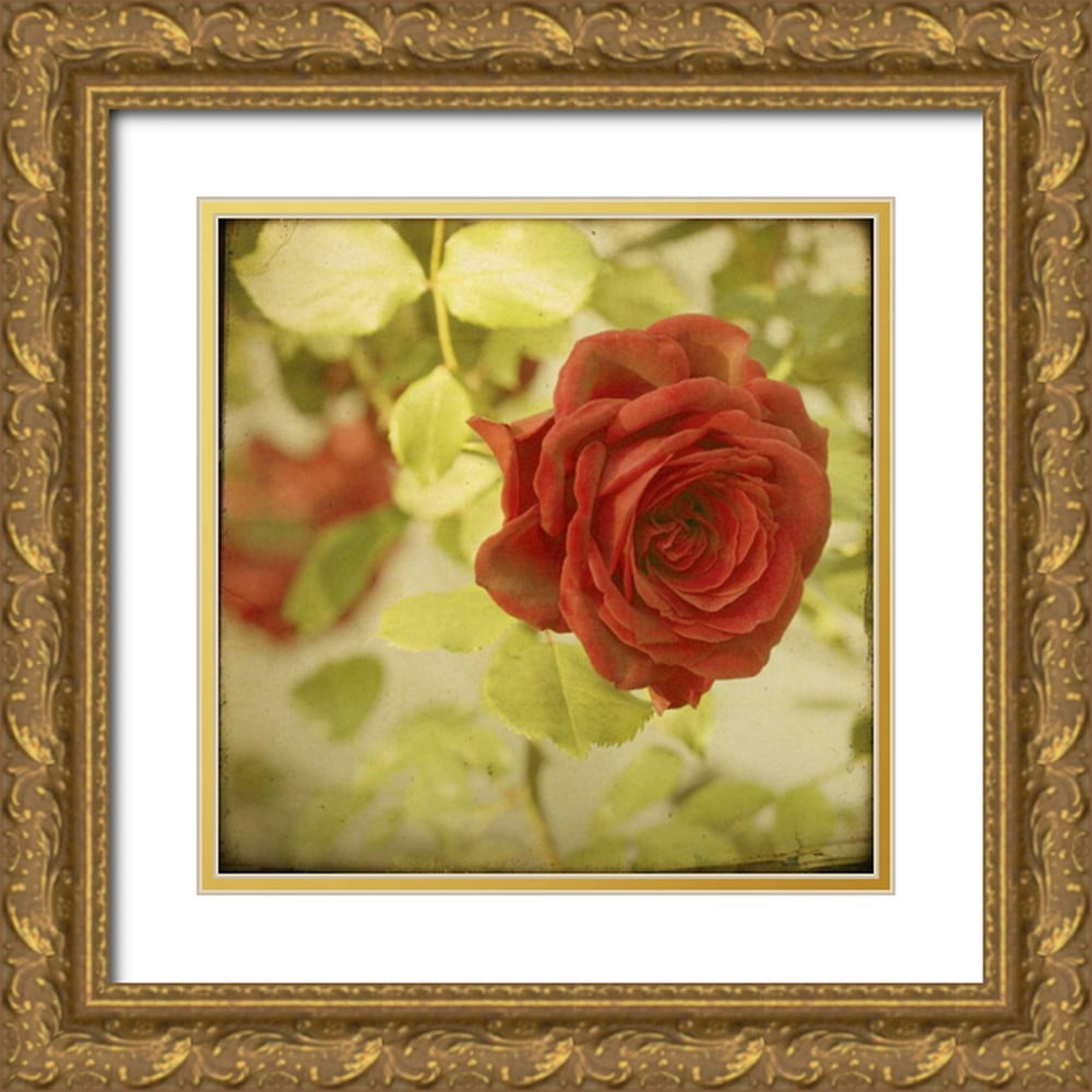 Jorgensen, Jennifer 20x20 Gold Ornate Wood Framed with Double Matting ...