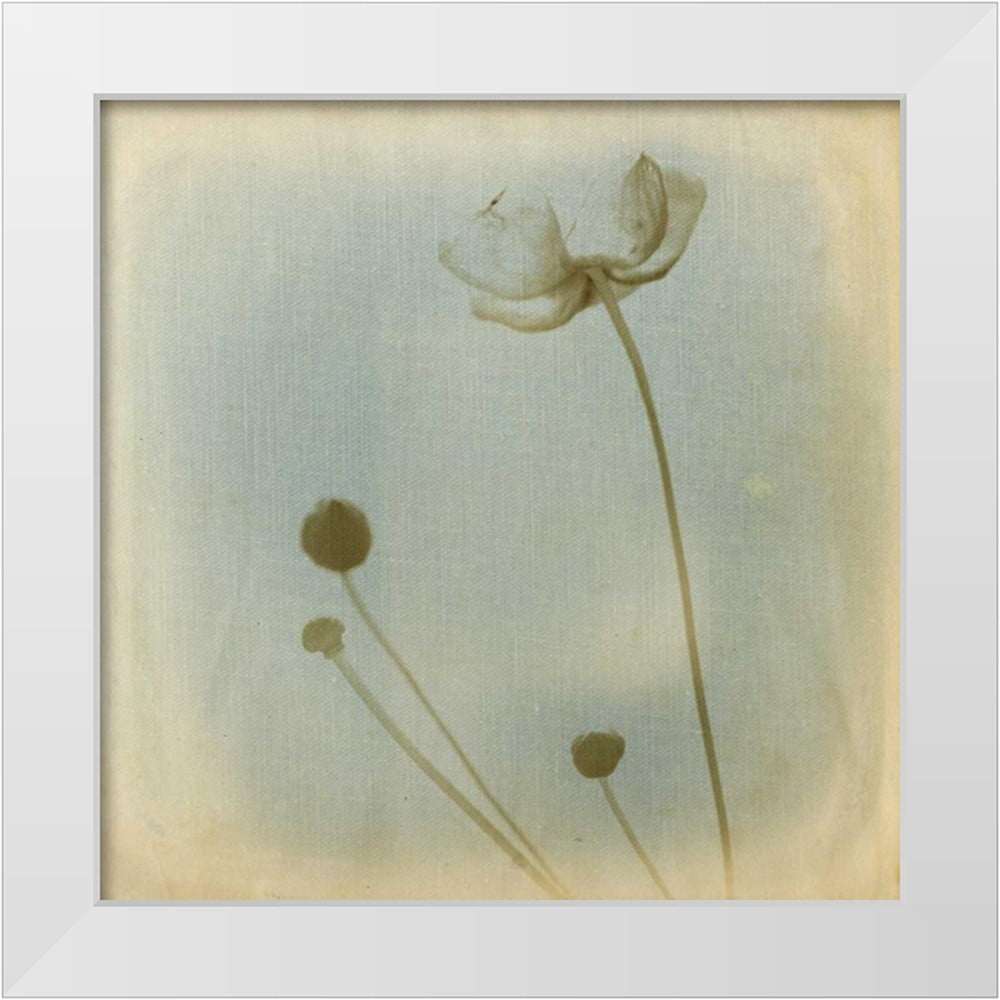 Jorgensen, Jennifer 20x20 White Modern Wood Framed Museum Art Print ...