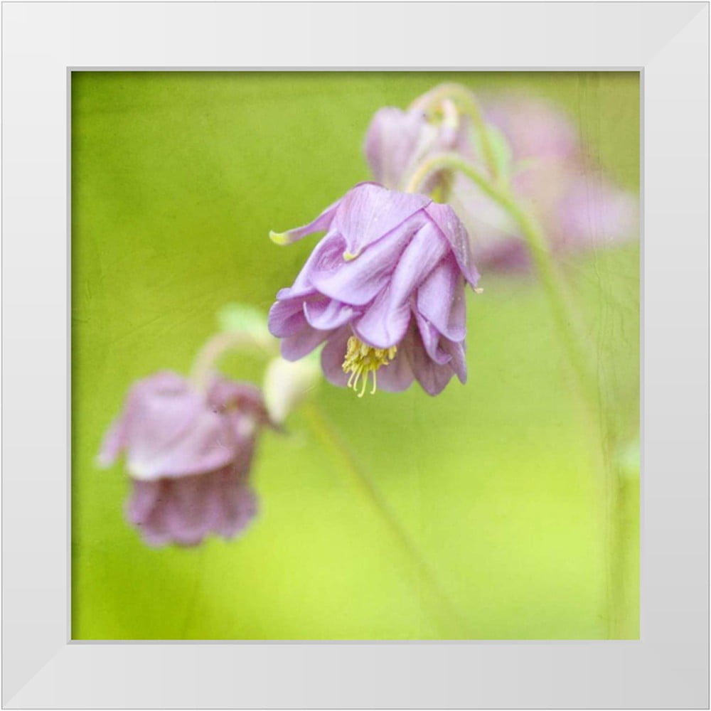 Jorgensen, Jennifer 20x20 White Modern Wood Framed Museum Art Print ...