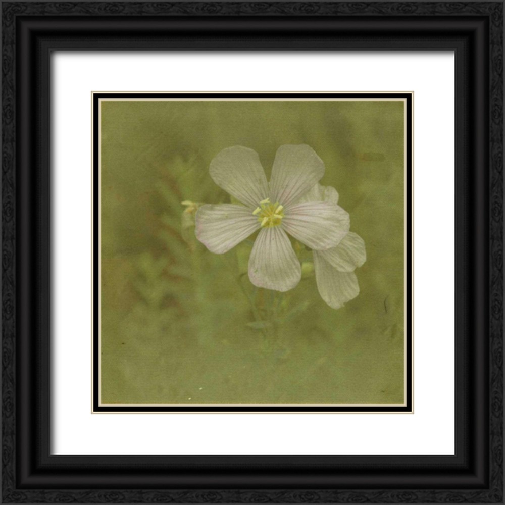 Jorgensen, Jennifer 26x26 Black Ornate Wood Framed with Double Matting ...