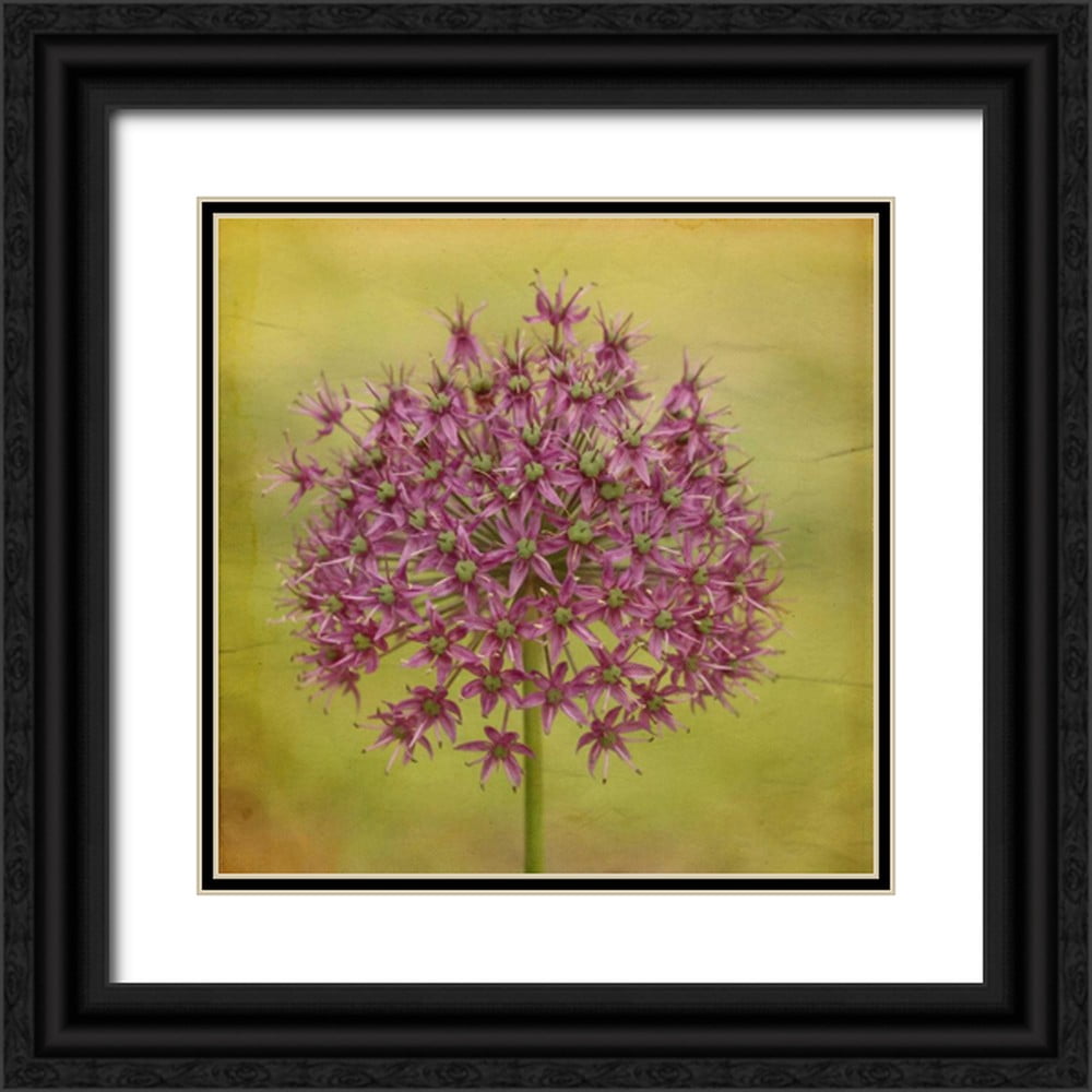 Jorgensen, Jennifer 26x26 Black Ornate Wood Framed with Double Matting ...