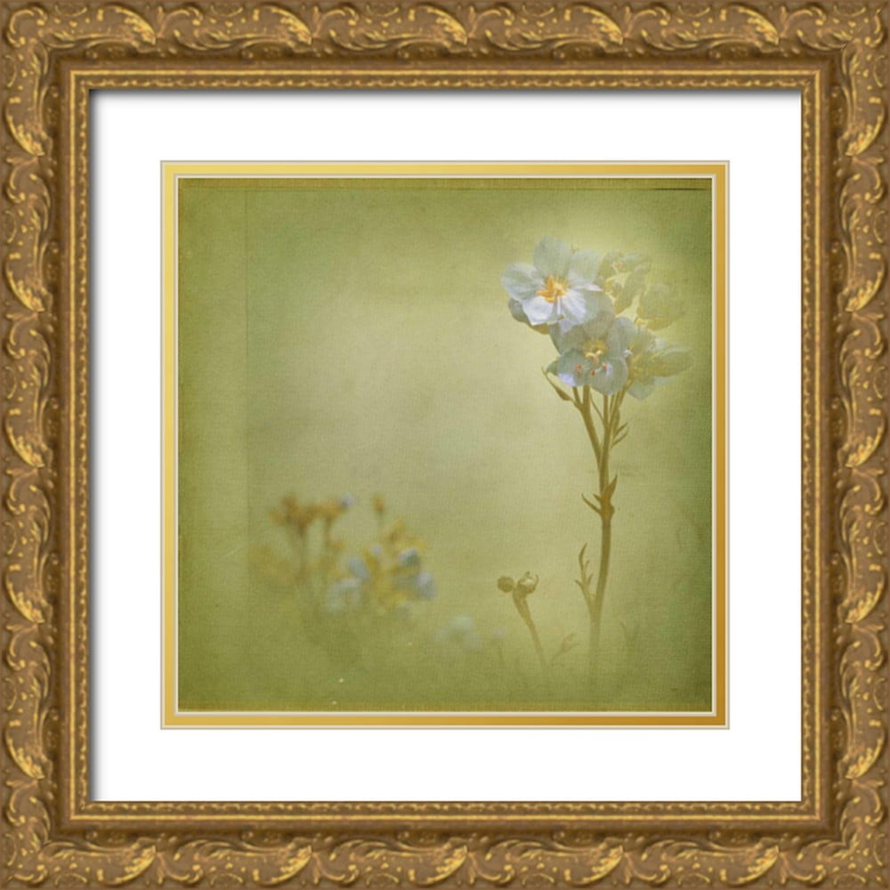 Jorgensen, Jennifer 26x26 Gold Ornate Wood Framed with Double Matting ...
