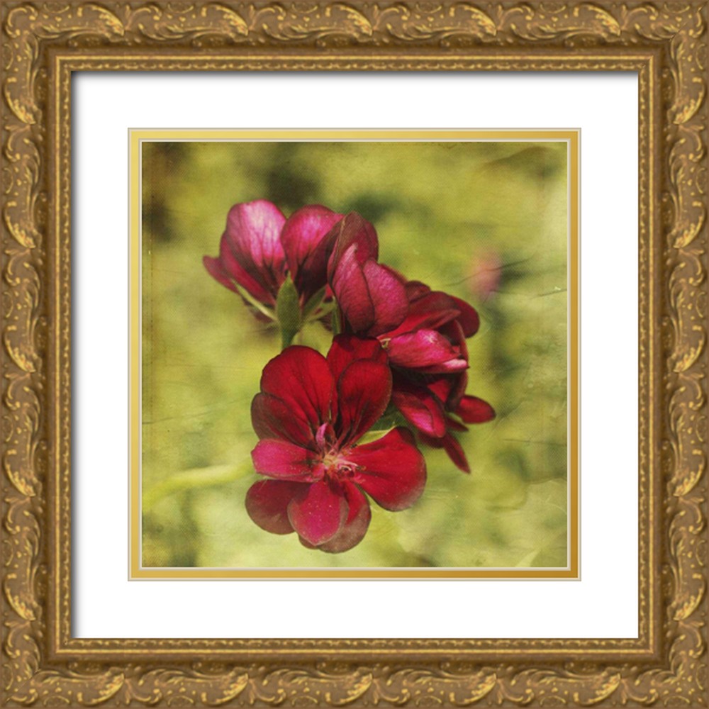 Jorgensen, Jennifer 26x26 Gold Ornate Wood Framed with Double Matting ...