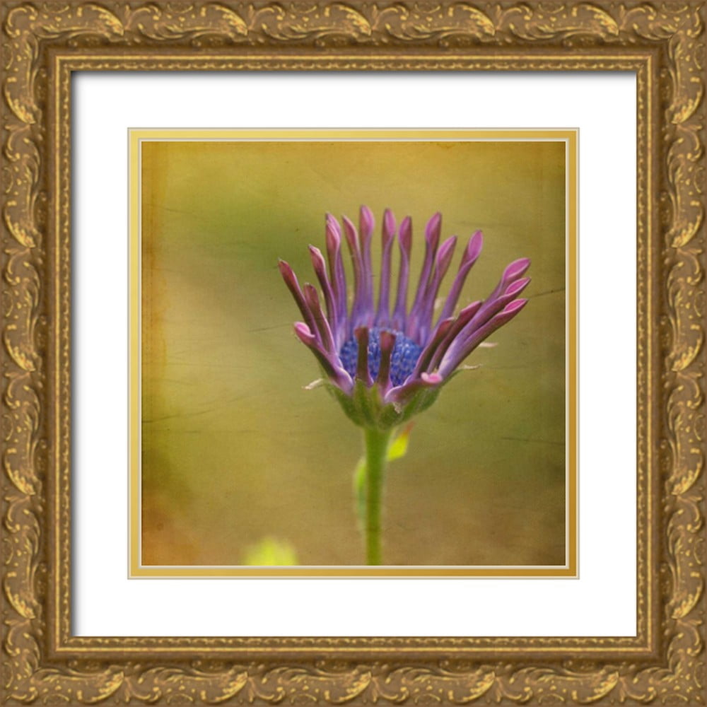 Jorgensen, Jennifer 26x26 Gold Ornate Wood Framed with Double Matting ...