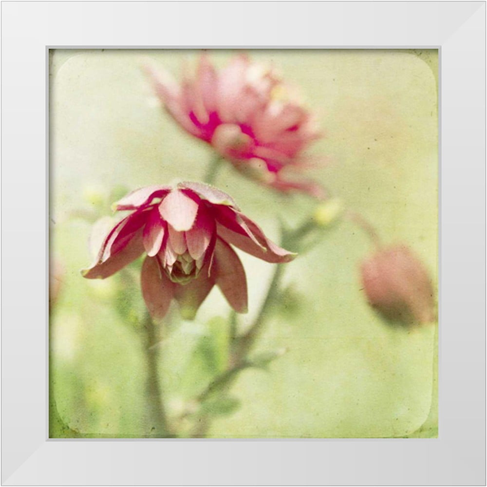 Jorgensen, Jennifer 26x26 White Modern Wood Framed Museum Art Print ...
