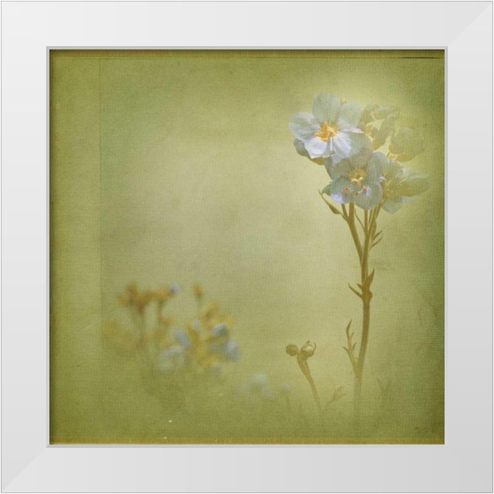 Jorgensen, Jennifer 26x26 White Modern Wood Framed Museum Art Print ...