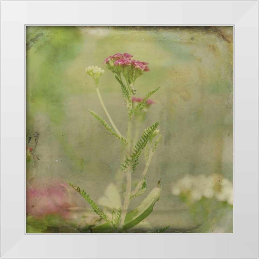 Jorgensen, Jennifer 26x26 White Modern Wood Framed Museum Art Print ...