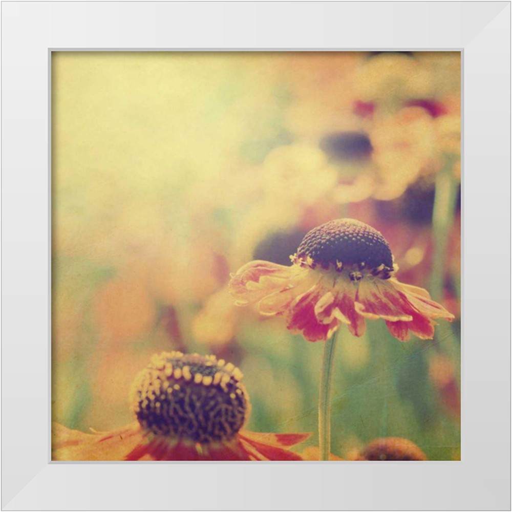 Jorgensen, Jennifer 26x26 White Modern Wood Framed Museum Art Print ...