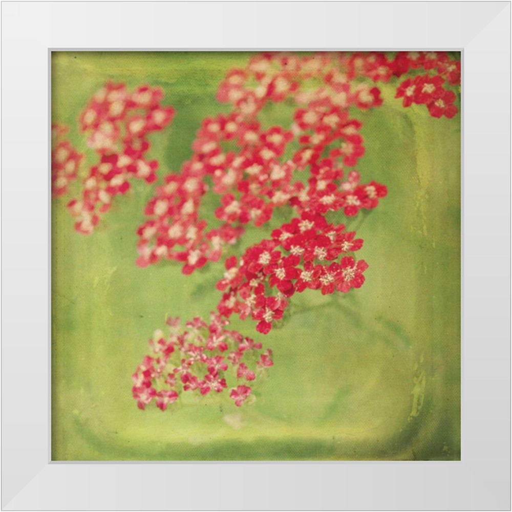 Jorgensen, Jennifer 26x26 White Modern Wood Framed Museum Art Print ...