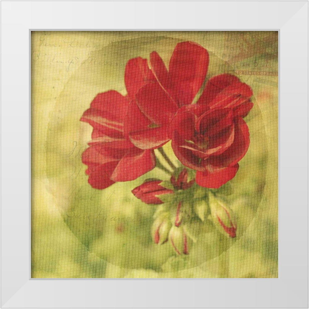 Jorgensen, Jennifer 26x26 White Modern Wood Framed Museum Art Print ...