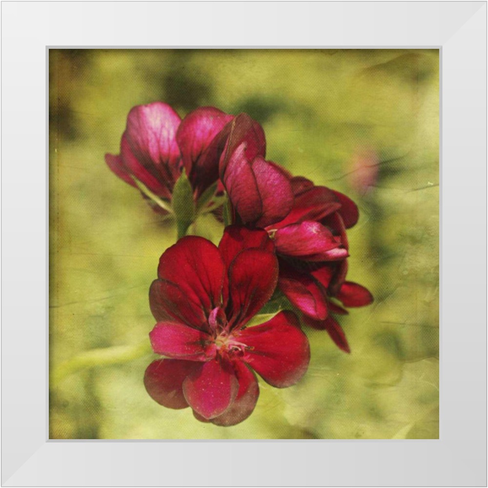 Jorgensen, Jennifer 26x26 White Modern Wood Framed Museum Art Print ...