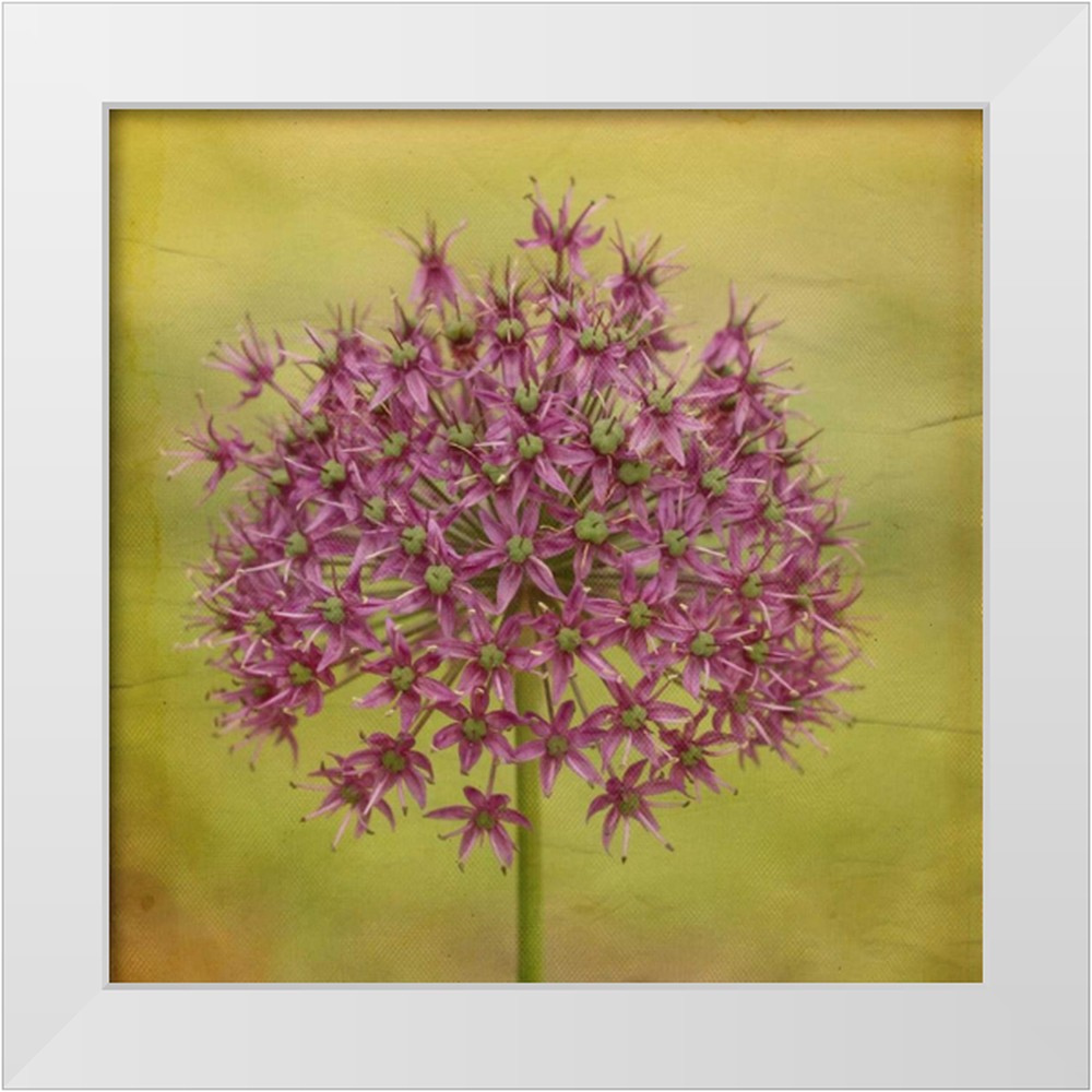 Jorgensen, Jennifer 26x26 White Modern Wood Framed Museum Art Print ...