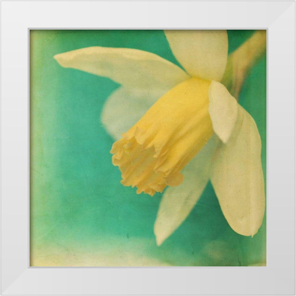 Jorgensen, Jennifer 26x26 White Modern Wood Framed Museum Art Print ...