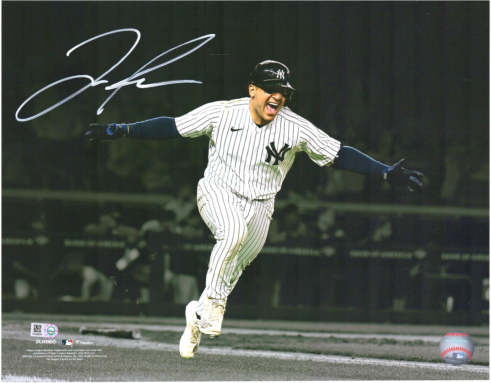 Jose Trevino New York Yankees Autographed 11" x 14" Arms Out Spotlight Photograph - Fanatics ...