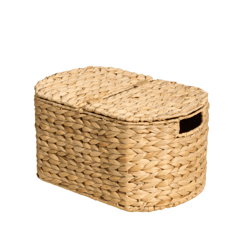 Joseph Rectangular Curve Resin Woven Wicker Trunk with Handles - 24" x ...